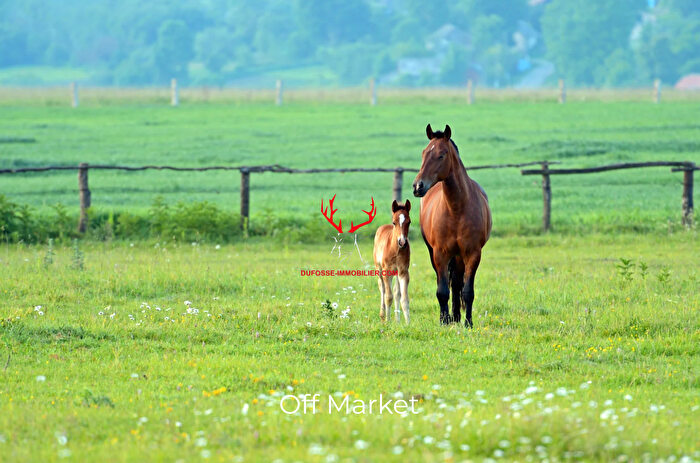 Maison à vendre - Bourg-en-Bresse - 4 pièces - 3 chambres