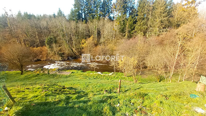 Maison à vendre - Ploumagoar - 9 pièces - 6 chambres