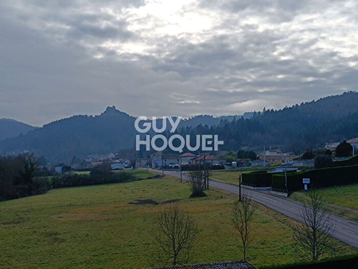 Appartement à vendre - Sail-sous-Couzan - 4 pièces - 3 chambres