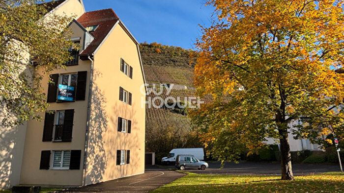 Thann : Appartement 2 pièces à louer