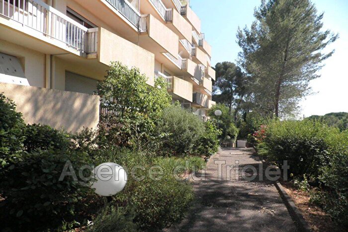 Appartement 2 pièces à louer - Aiguelongue, Montpellier