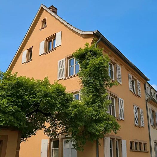 Appartement à vendre - Colmar, Centre-ville - 6 pièces - 3 chambres