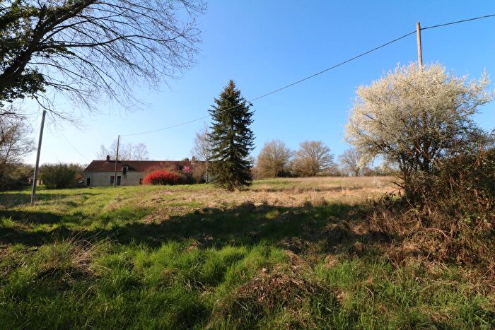 Maison à vendre - La Guerche-sur-lAubois - 8 pièces - 5 chambres