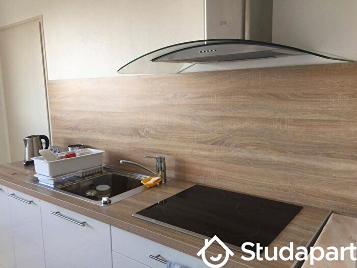 Appartement à louer - Grand Pigeon-Deux Croix-Banchais, Angers - 1 pièce - 1 chambre