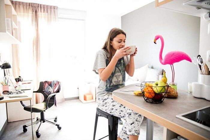 Appartement à louer - Port Marianne, Richter, Montpellier - 1 pièce