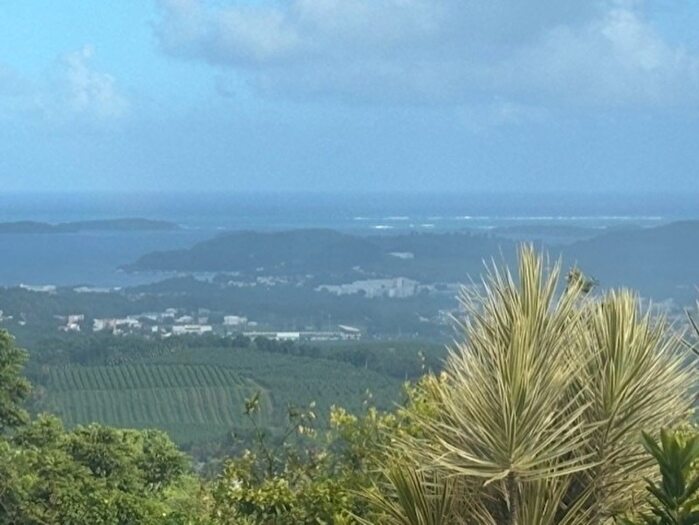 Maison à vendre - Le François - 5 pièces