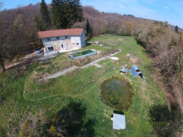 Maison 7 pièces à vendre - Saint-Jean-de-Bournay