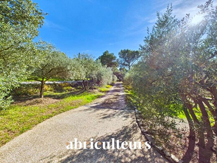 Maison à vendre - Cheval-Blanc - 5 pièces - 4 chambres