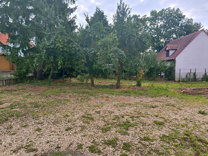 Maison à vendre - Osthoffen - 5 pièces - 3 chambres