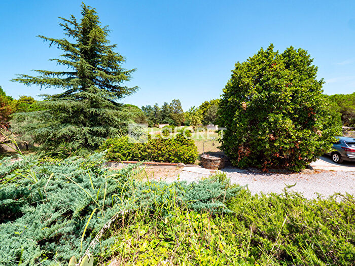 Maison à vendre - Argelès-sur-Mer, Le Racou, Port dArgelès - 10 pièces - 6 chambres