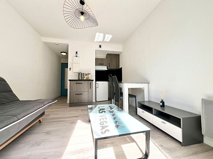 Appartement à louer - Rodez, Saint-Eloi, Camonil - 1 pièce