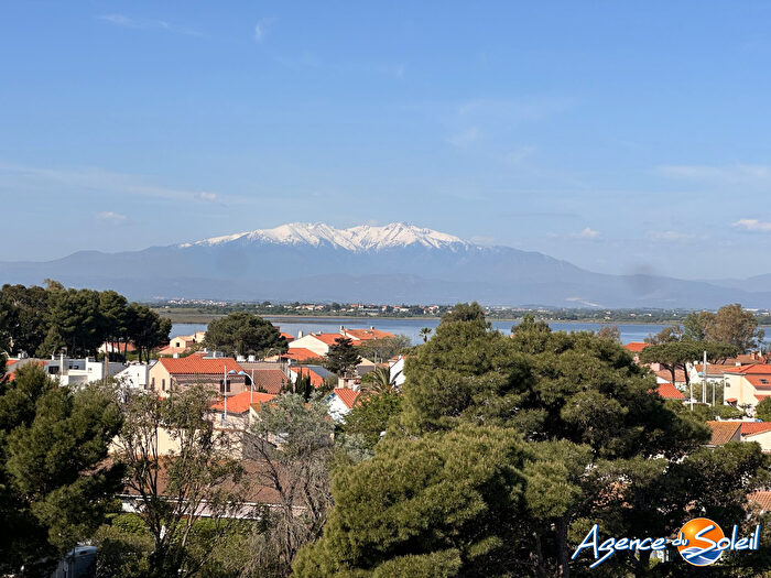 Canet-en-Roussillon, Plage Sud - Appartement 1 pièce à vendre