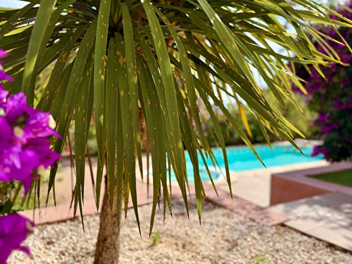 Maison à vendre - Leucate - 6 pièces - 3 chambres