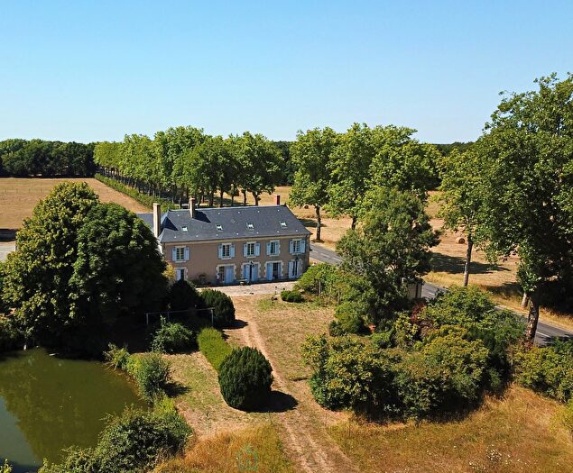 Maison à vendre - Château-la-Vallière - 16 pièces - 9 chambres