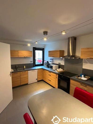 Stanislas-Meurthe, Nancy - Appartement 1 pièce à louer