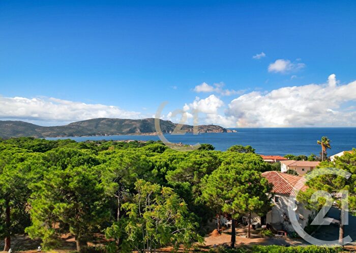 Maison à vendre - Calvi - 10 pièces - 6 chambres