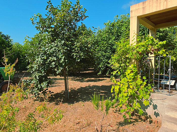 Furiani : Maison 6 pièces à vendre