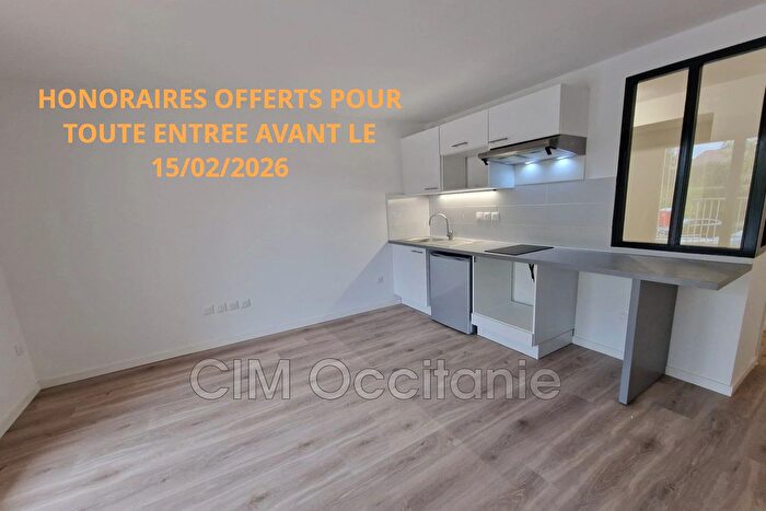 Appartement à louer - Castelnaudary, Pont Rouge, Estambigou, Marronniers - 1 pièce