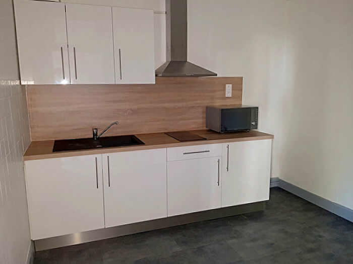 Clermont-Ferrand, Vallières, Sallins, Poncillon : Appartement 1 pièce à louer