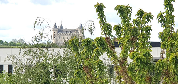 Maison à vendre - Saint-Lambert-des-Levées, Croix Verte - 9 pièces - 6 chambres