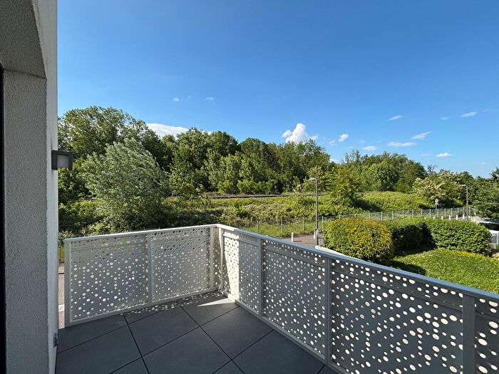 Appartement à louer - Hoenheim - 1 pièce