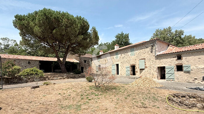 Chaillé-sous-les-Ormeaux - Maison 8 pièces à vendre