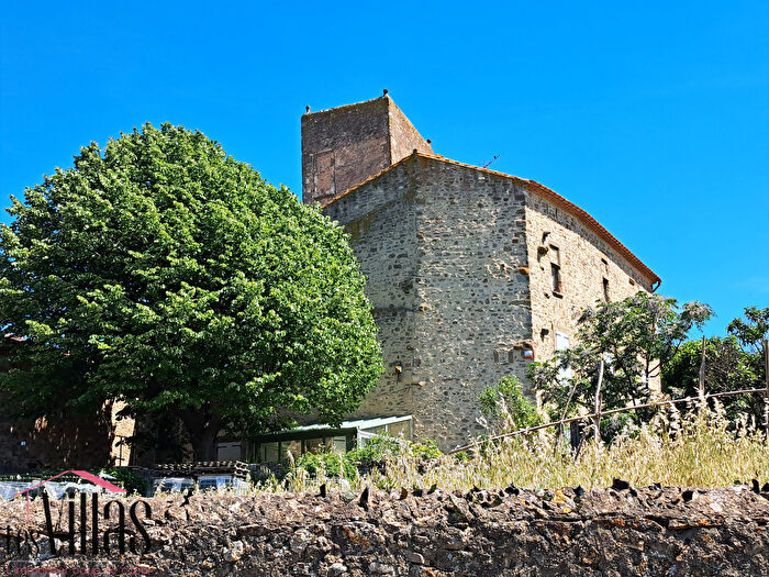 Maison à vendre - Olonzac - 11 pièces - 5 chambres