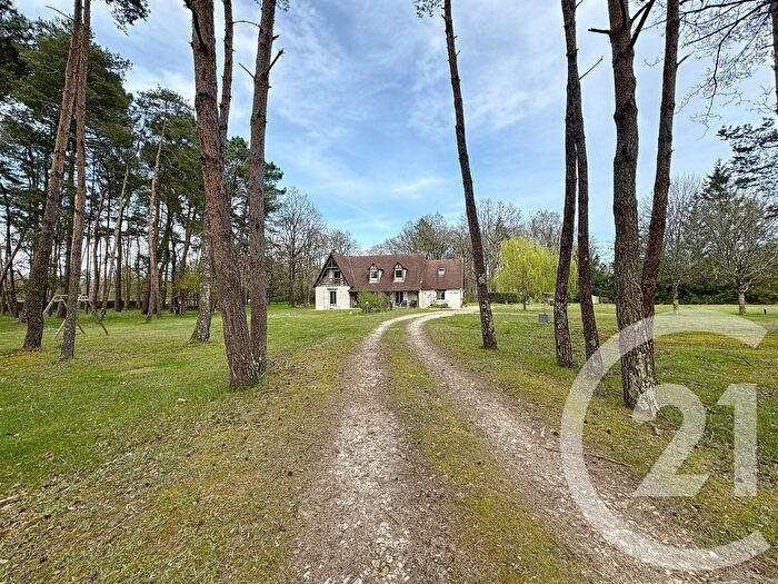 Maison à vendre - Theillay - 9 pièces - 7 chambres