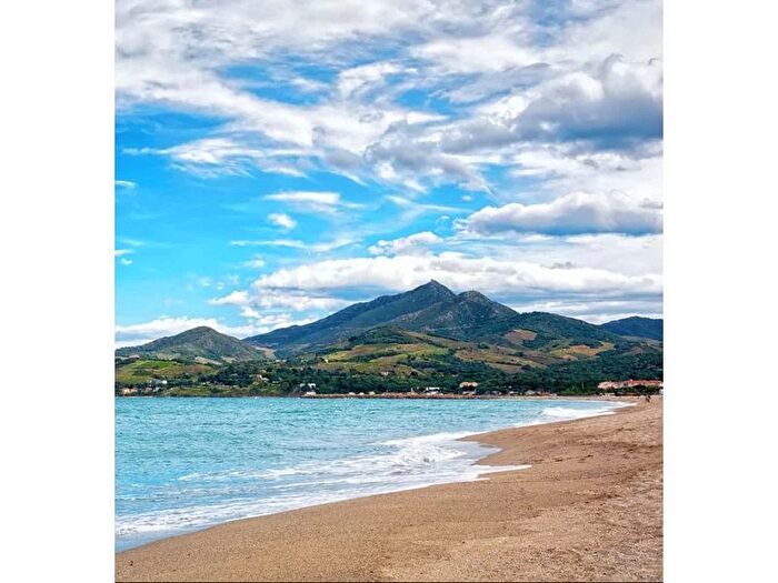 Appartement à vendre - Argelès-sur-Mer - 2 pièces - 1 chambre