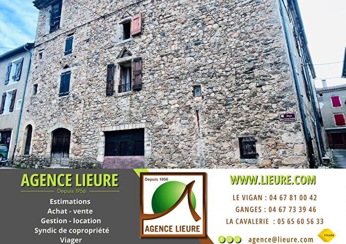 Maison 10 pièces à Alzon, à vendre