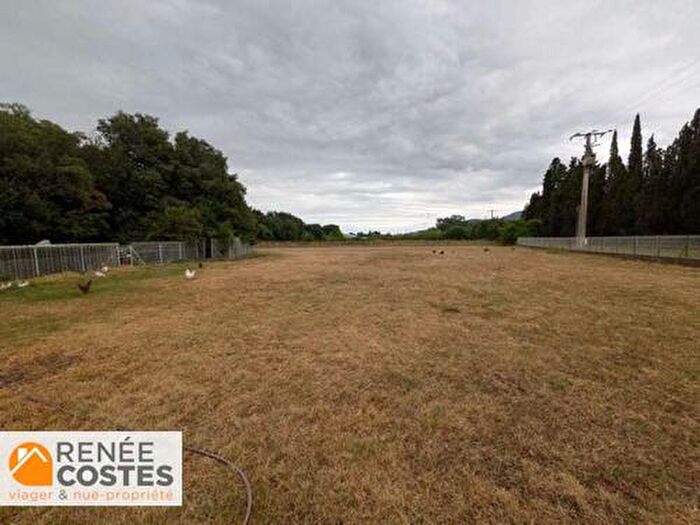 Maison 6 pièces à vendre - Le Boulou