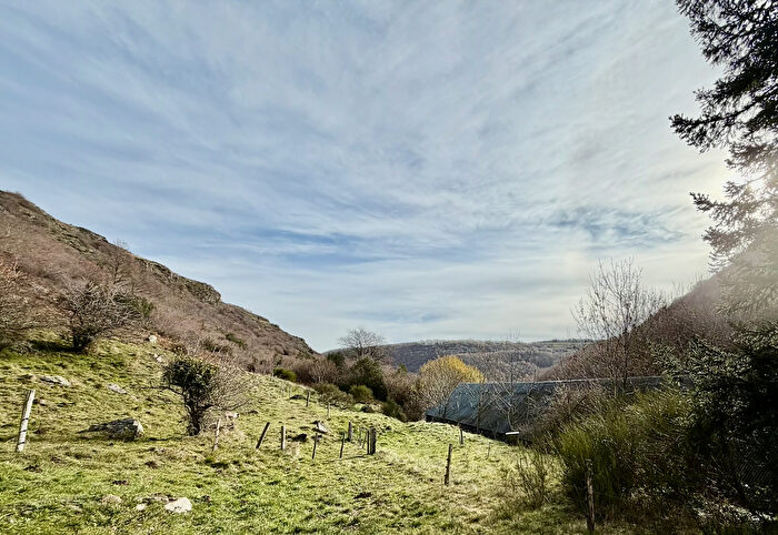 Maison à vendre - Mazoires - 5 pièces - 3 chambres