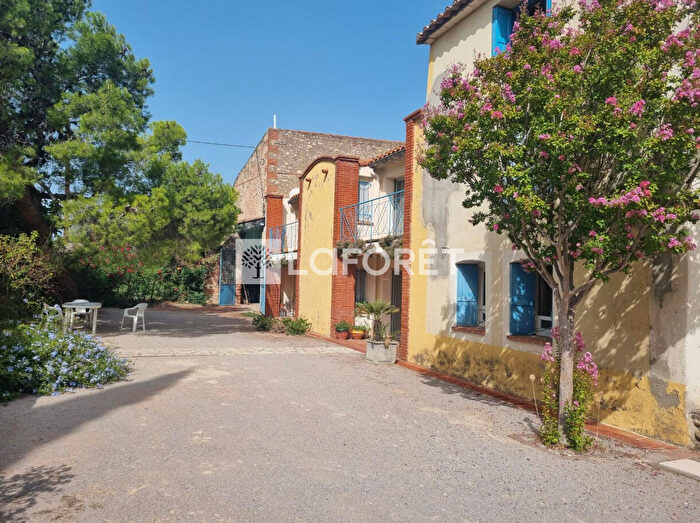 Maison à vendre - Néfiach - 15 pièces - 9 chambres