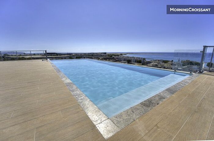 Appartement à louer - Saint-Laurent-du-Var, Bord de Mer, Port de Plaisance - 2 pièces - 1 chambre