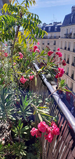Maisons à vendre et appartements à louer - 1