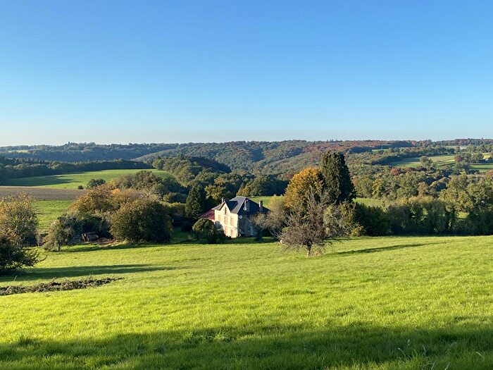Maison à vendre - Neuvic-Entier - 6 pièces - 4 chambres