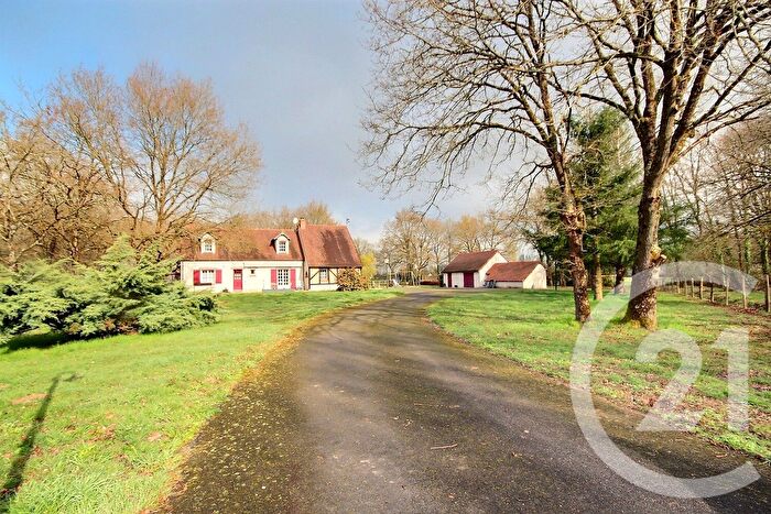 Maison à vendre - Saint-Laurent-Nouan - 5 pièces - 4 chambres