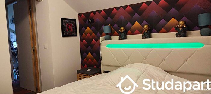 Appartement à louer - Saint Antoine-Ladhof, Colmar - 1 pièce