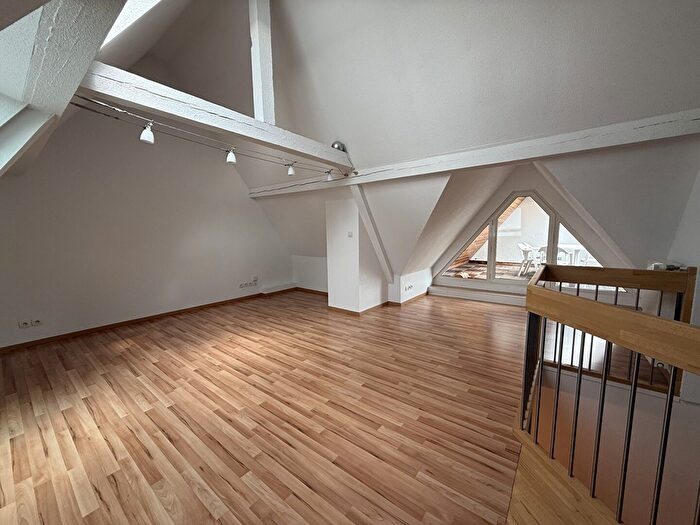 Strasbourg, Robertsau : Appartement 3 pièces à louer
