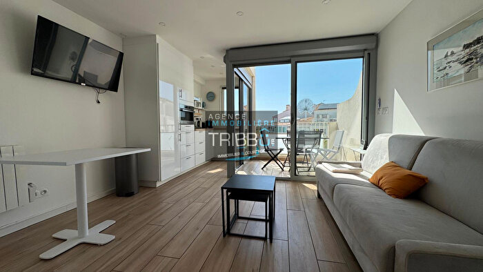 Saint-Cyprien, Les Capellans, Plage de la Lagune : Appartement 1 pièce à vendre