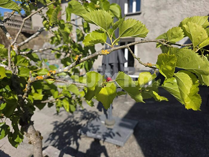 Maison 8 pièces à vendre - Aix-les-Bains
