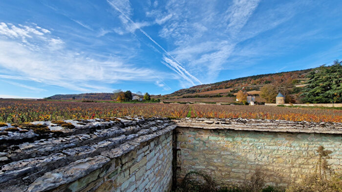 Santenay : Maison 12 pièces à vendre