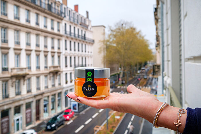 Appartement à vendre - Lyon e , Mutualité, Préfecture, Moncey - 4 pièces - 3 chambres