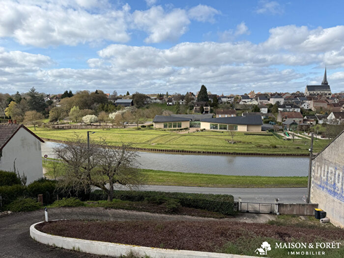 Maison à vendre - Ouzouer-sur-Trézée - 3 pièces - 2 chambres