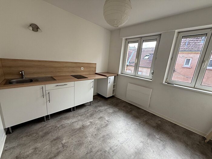 Appartement 1 pièce à louer à Haguenau, Centre-ville
