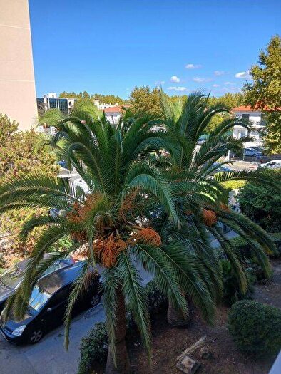 Appartement 4 pièces à Exterieurs, Fréjus, à louer