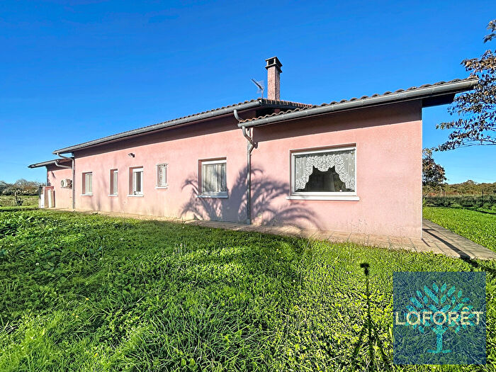 Maison à vendre - Mimbaste - 4 pièces - 3 chambres