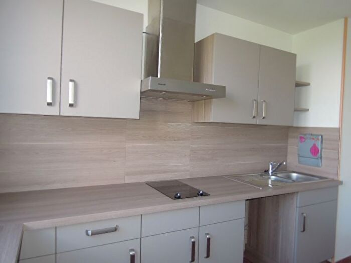 Appartement à louer - Orléans, Saint-Marc, Faubourg Bourgogne - 1 pièce