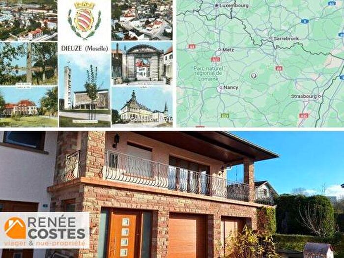 Maison à vendre - Dieuze - 10 pièces - 6 chambres