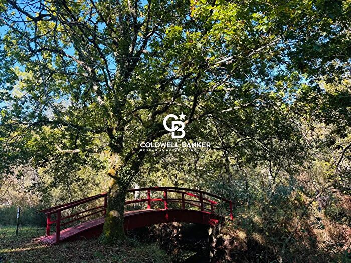 Maison à vendre - Lesparre-Médoc - 14 pièces - 10 chambres